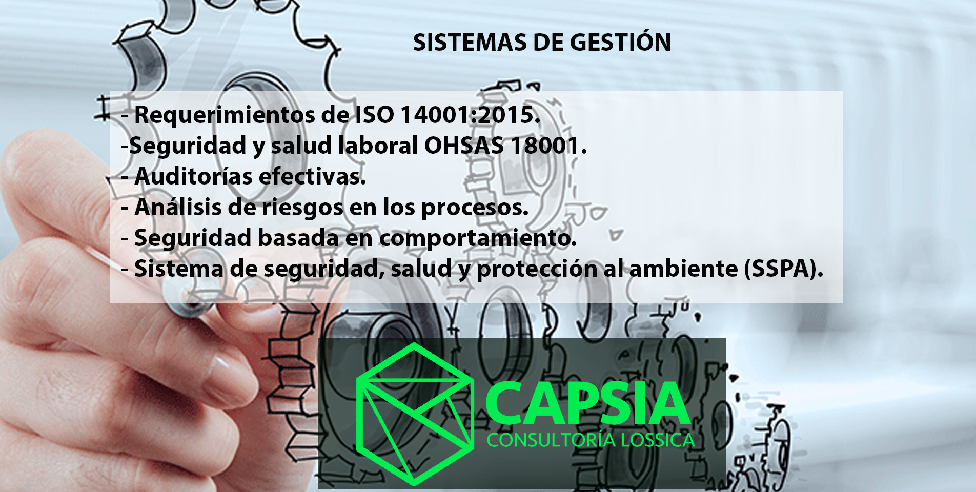 Nuestros Cursos – CAPSIA | Consultoría Lossica