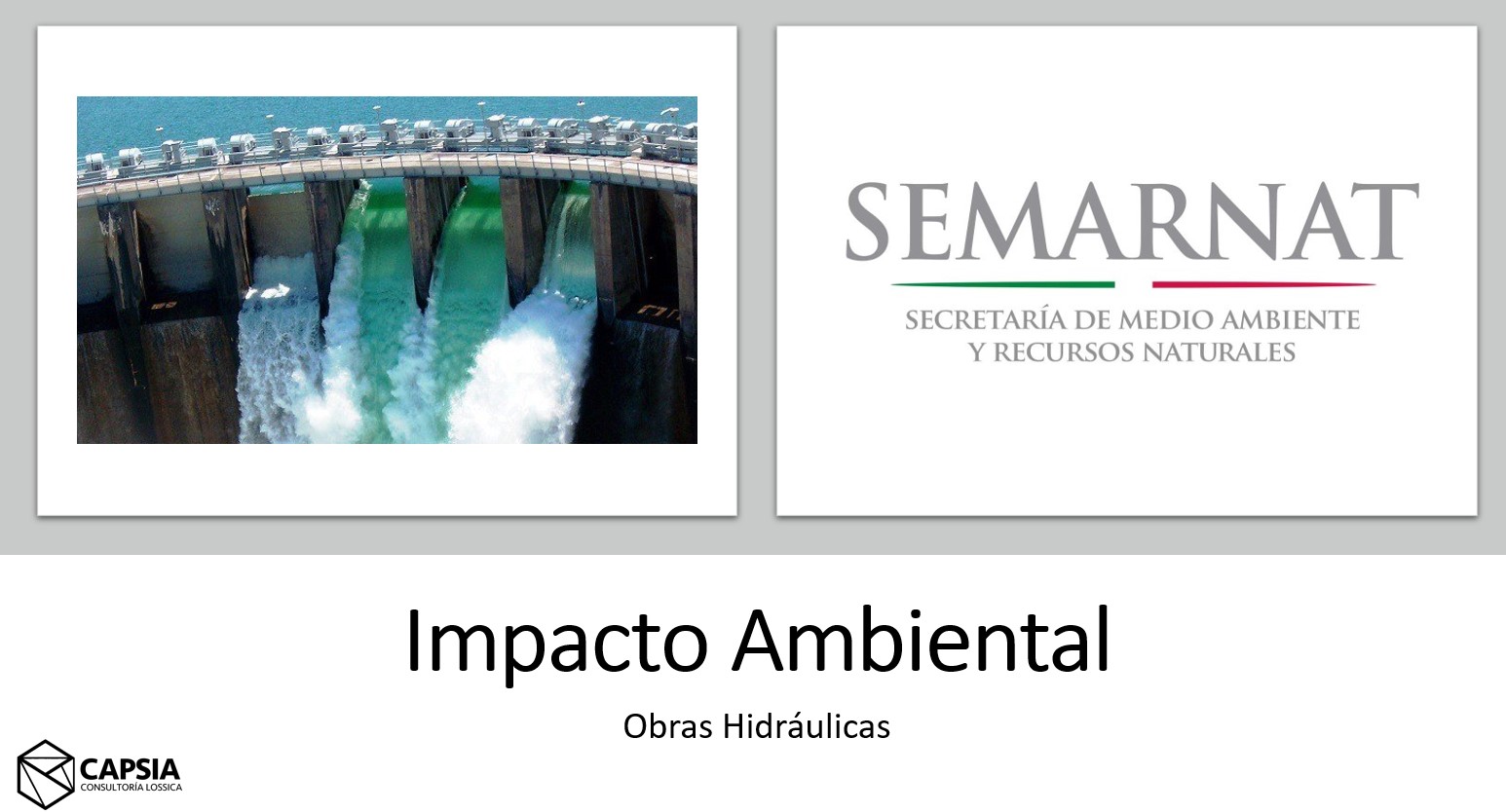 Manifestación de Impacto Ambiental (MIA) – CAPSIA | Consultoría Lossica